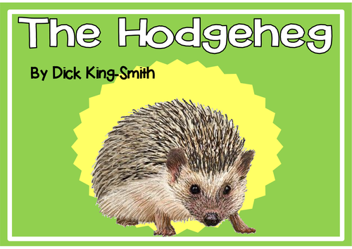 THE HODGEHEG STORY TEACHING RESOURCES EYFS KS1-2 HEDGEHOG ROAD SAFETY ...