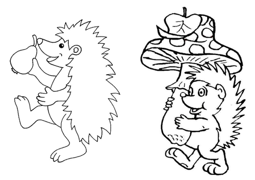 THE HODGEHEG STORY TEACHING RESOURCES EYFS KS1-2 HEDGEHOG ROAD SAFETY ...