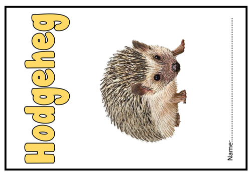 THE HODGEHEG STORY TEACHING RESOURCES EYFS KS1-2 HEDGEHOG ROAD SAFETY ...