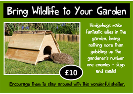 THE HODGEHEG STORY TEACHING RESOURCES EYFS KS1-2 HEDGEHOG ROAD SAFETY ...