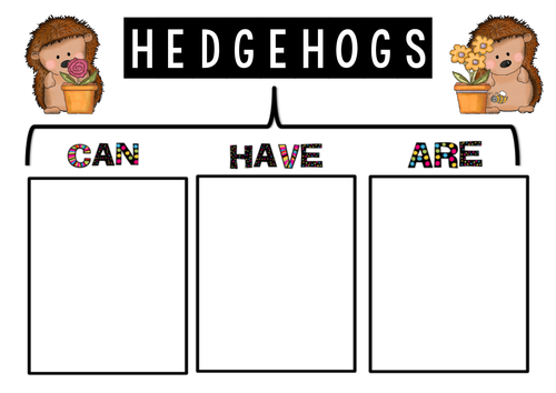 THE HODGEHEG STORY TEACHING RESOURCES EYFS KS1-2 HEDGEHOG ROAD SAFETY ...