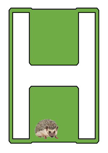 THE HODGEHEG STORY TEACHING RESOURCES EYFS KS1-2 HEDGEHOG ROAD SAFETY ...