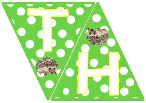 THE HODGEHEG STORY TEACHING RESOURCES EYFS KS1-2 HEDGEHOG ROAD SAFETY ...