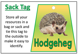 THE HODGEHEG STORY TEACHING RESOURCES EYFS KS1-2 HEDGEHOG ROAD SAFETY ...