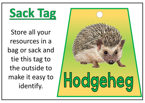 THE HODGEHEG STORY TEACHING RESOURCES EYFS KS1-2 HEDGEHOG ROAD SAFETY ...