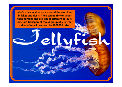 RAINBOW FISH STORY TEACHING RESOURCES EYFS KS1-2 ENGLISH FRIENDSHIP ...