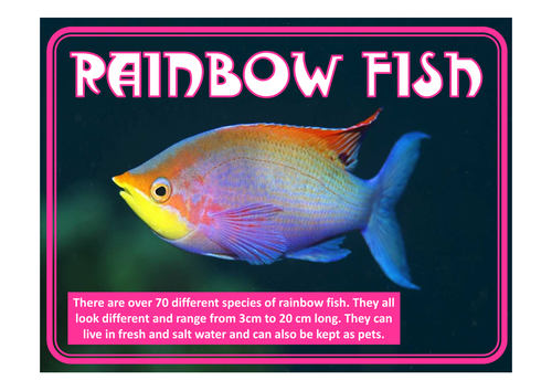 RAINBOW FISH STORY TEACHING RESOURCES EYFS KS1-2 ENGLISH FRIENDSHIP ...