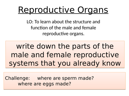 Reproduction - Sex organs/Reproductive Systems (Lesson 2 - Chapter 3 ...