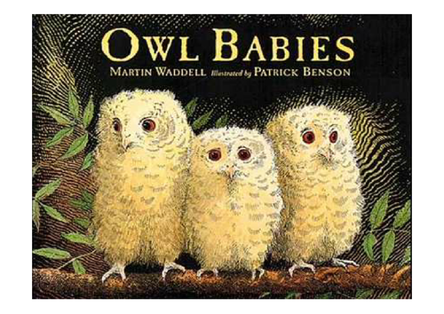 OWL BABIES STORY TEACHING RESOURCES, LITERACY, READING, EYFS, KS 1-2 ...