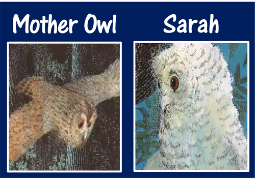 OWL BABIES STORY TEACHING RESOURCES, LITERACY, READING, EYFS, KS 1-2 ...