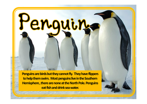 OWL BABIES STORY TEACHING RESOURCES, LITERACY, READING, EYFS, KS 1-2 ...