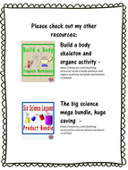 Editing Writing Complete Lesson – Mr Stink | Teaching Resources