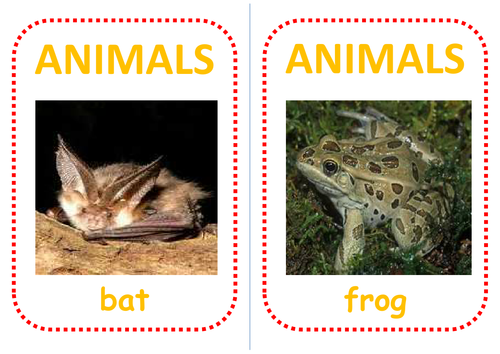 HANDA'S SURPRISE AND HANDA'S HEN HUGE STORY TEACHING RESOURCES EYFS KS1 ...