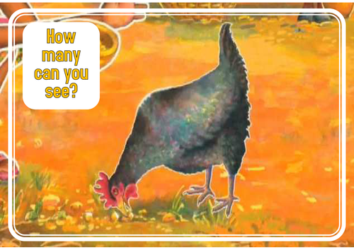 HANDA'S SURPRISE AND HANDA'S HEN HUGE STORY TEACHING RESOURCES EYFS KS1 ...
