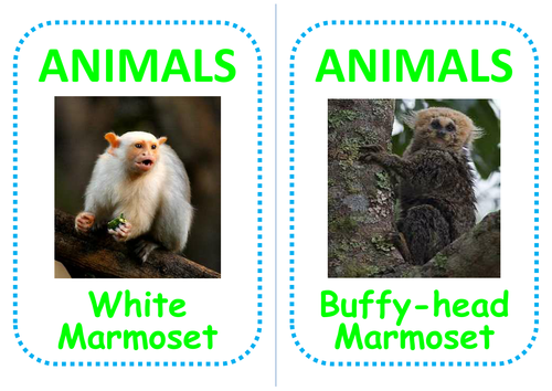 HANDA'S SURPRISE AND HANDA'S HEN HUGE STORY TEACHING RESOURCES EYFS KS1 ...