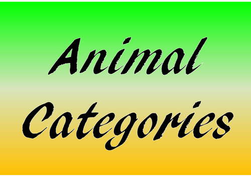 HANDA'S SURPRISE AND HANDA'S HEN HUGE STORY TEACHING RESOURCES EYFS KS1 ...