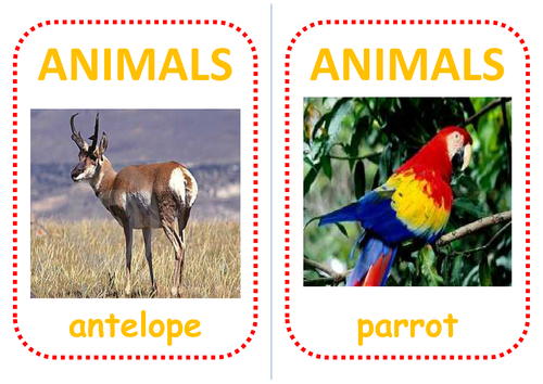 HANDA'S SURPRISE AND HANDA'S HEN HUGE STORY TEACHING RESOURCES EYFS KS1 ...