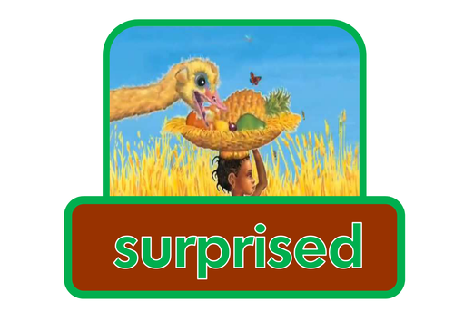 HANDA'S SURPRISE AND HANDA'S HEN HUGE STORY TEACHING RESOURCES EYFS KS1 ...