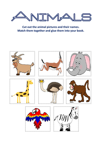 HANDA'S SURPRISE AND HANDA'S HEN HUGE STORY TEACHING RESOURCES EYFS KS1 ...