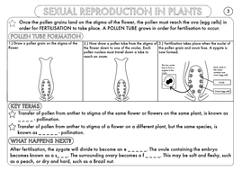 GCSE Biology: Plant Reproduction Worksheet Pack | Teaching Resources