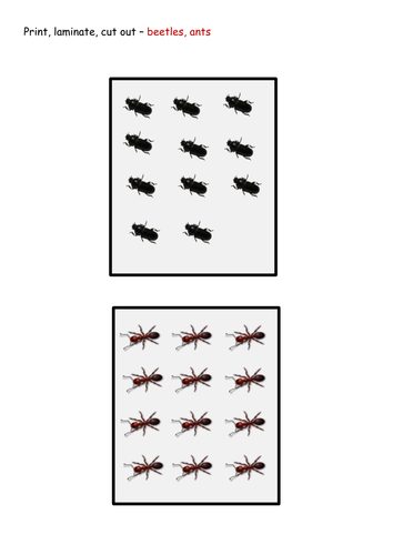 Addition Counting Minibeasts Bugs Insects Worksheets Activities ...