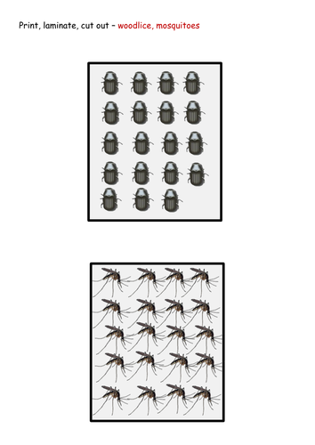 Addition Counting Minibeasts Bugs Insects Worksheets Activities ...