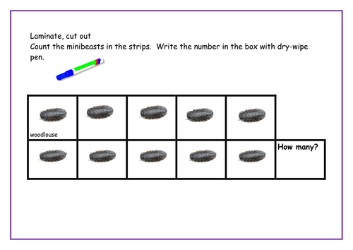 Addition Counting Minibeasts Bugs Insects Worksheets Activities ...