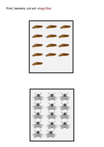 Addition Counting Minibeasts Bugs Insects Worksheets Activities ...