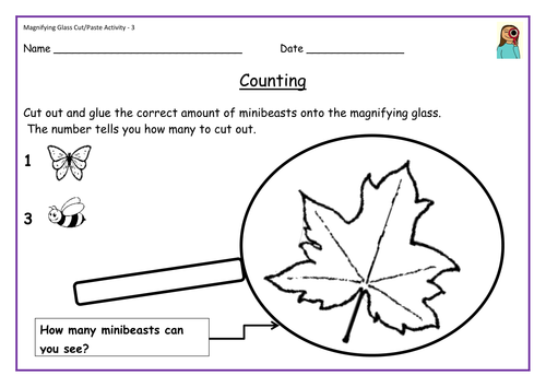 Addition Counting Minibeasts Bugs Insects Worksheets Activities ...