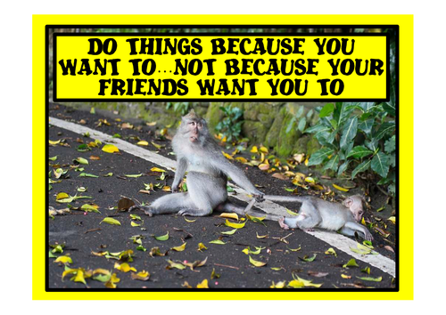 BEHAVIOUR TEACHING RESOURCES ACTIVITIES DISPLAY KEY STAGE 2-4 SEN ...