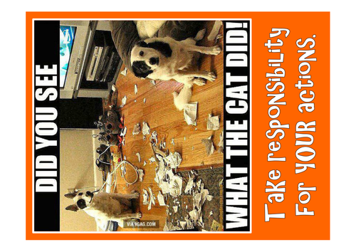 BEHAVIOUR TEACHING RESOURCES ACTIVITIES DISPLAY KEY STAGE 2-4 SEN ...