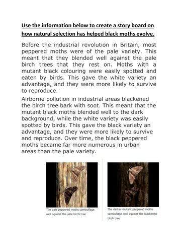 Natural selection, (Survival and Extinction) and Evolution | Teaching ...