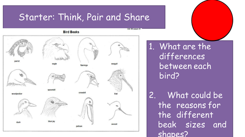 Natural selection, (Survival and Extinction) and Evolution | Teaching ...