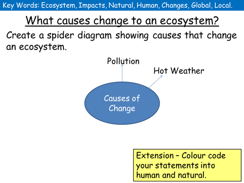 (New AQA) Lesson 3: How does change effect an ecosystem? | Teaching ...