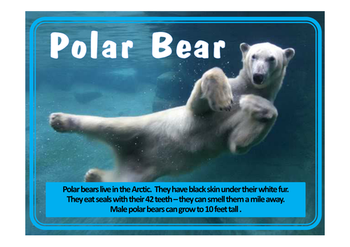 GOLDILOCKS AND THREE BEARS STORY TEACHING RESOURCES EYFS KS 1-2 ...