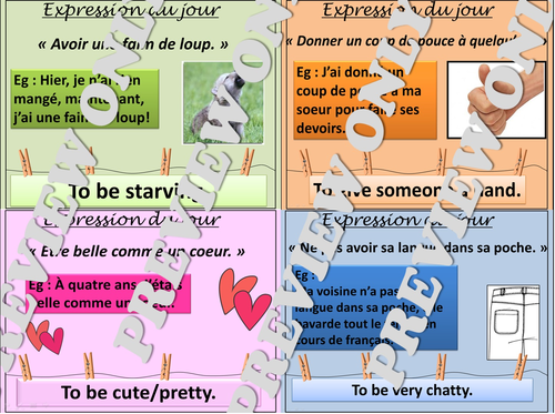 Starters - French colloquial expressions | Teaching Resources