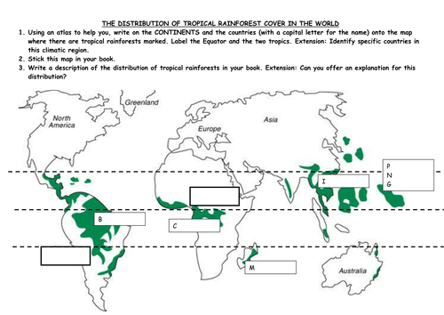 Introduction to the Rainforests & Ecosystems | Teaching Resources