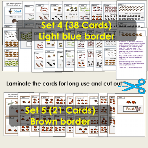 Minibeasts Insects Loop Cards I Have Who Has Counting and Addition ...