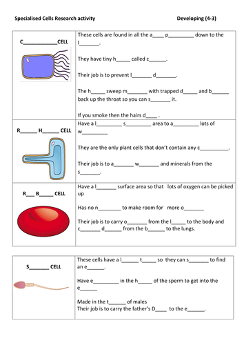 Differentiated information gather activity on specialised cells ...