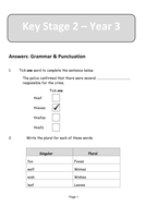 Year 3 Grammar Assessment ANSWERS | Teaching Resources