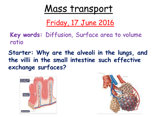 New SNAB Biology A level- Lifestyle, health and risk Module | Teaching ...