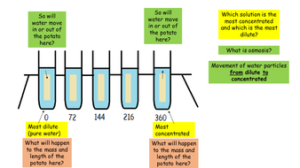 Osmosis potato practical | Teaching Resources