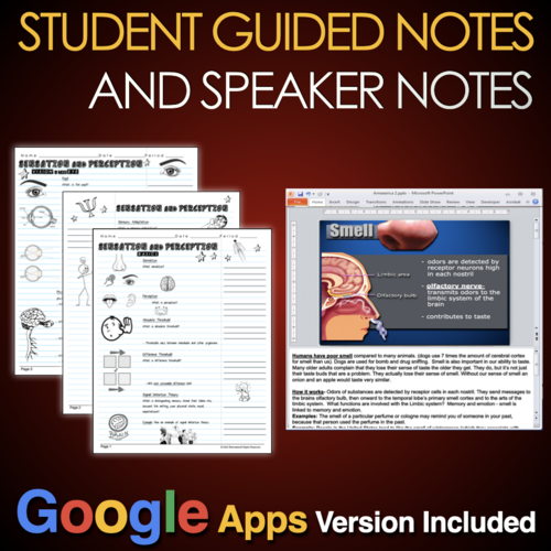 Sensation & Perception PowerPoint / Google Slides, Student Guided Notes ...