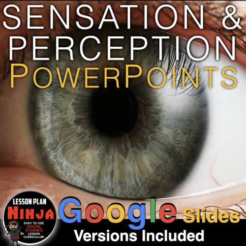 Sensation & Perception PowerPoint / Google Slides, Student Guided Notes ...