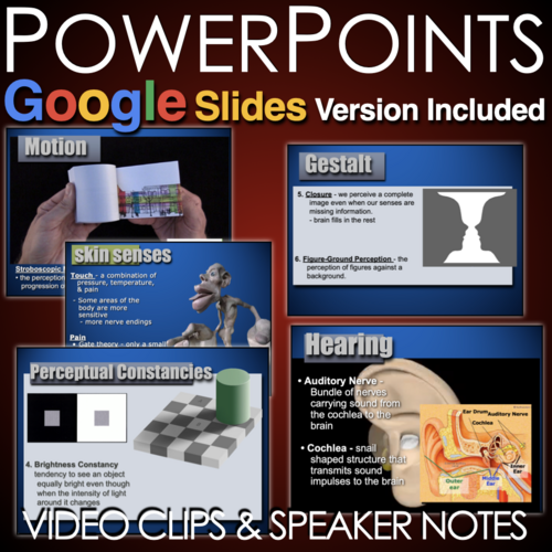 Sensation & Perception PowerPoint / Google Slides, Student Guided Notes ...