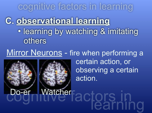 Psychology: Learning PowerPoint | Teaching Resources