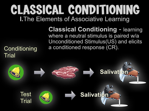 Psychology: Learning PowerPoint | Teaching Resources