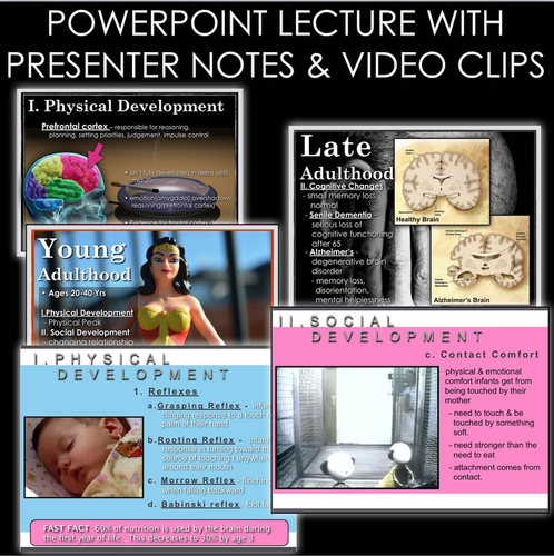 Developmental Psychology PowerPoints with Video Clips | Teaching Resources