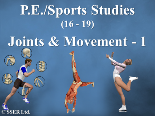 PE_A_Joints and Movement - 1 | Teaching Resources