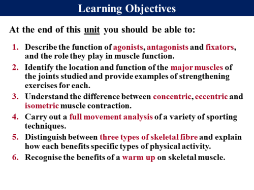 PE_A_Muscles and Movement - 1 | Teaching Resources